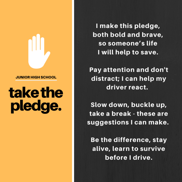 Pledge to Keep Our Drive Alive