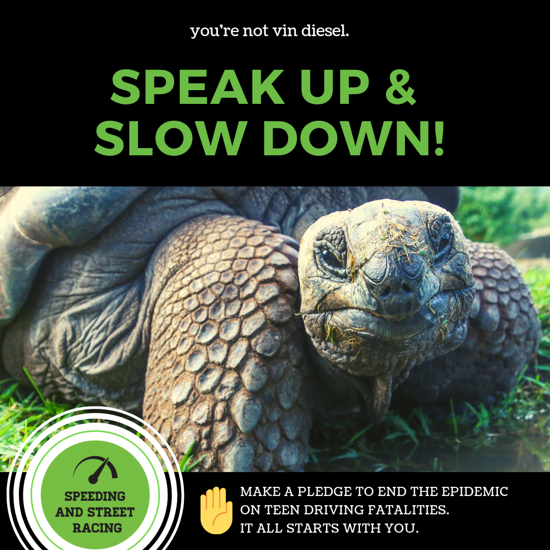 Speak Up and Slow Down!